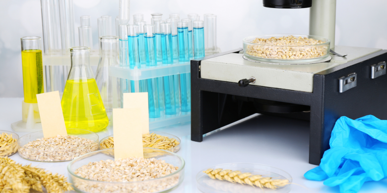 Microbiological Examination of Food Sample - Labguider